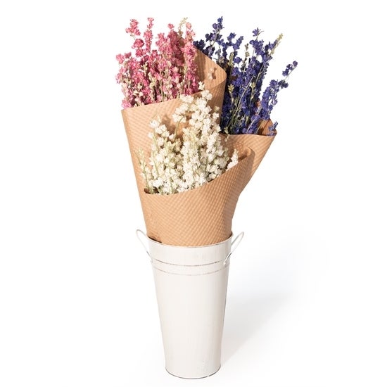 Dried Flower-Larkspur | Sweet Sprig
